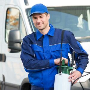 Fleet Management Solutions That Drive Smarter Decisions